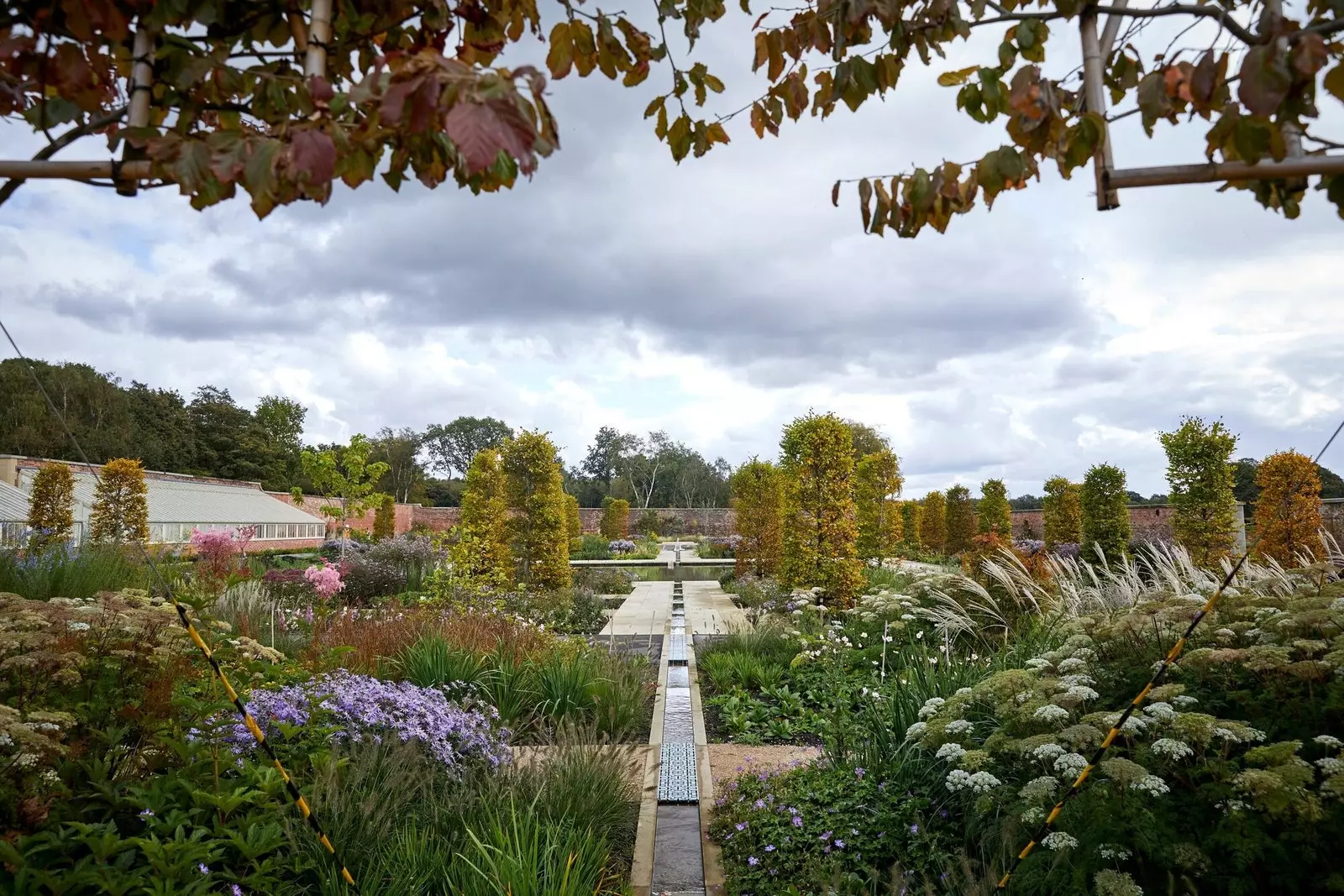 RHS Garden Bridgewater