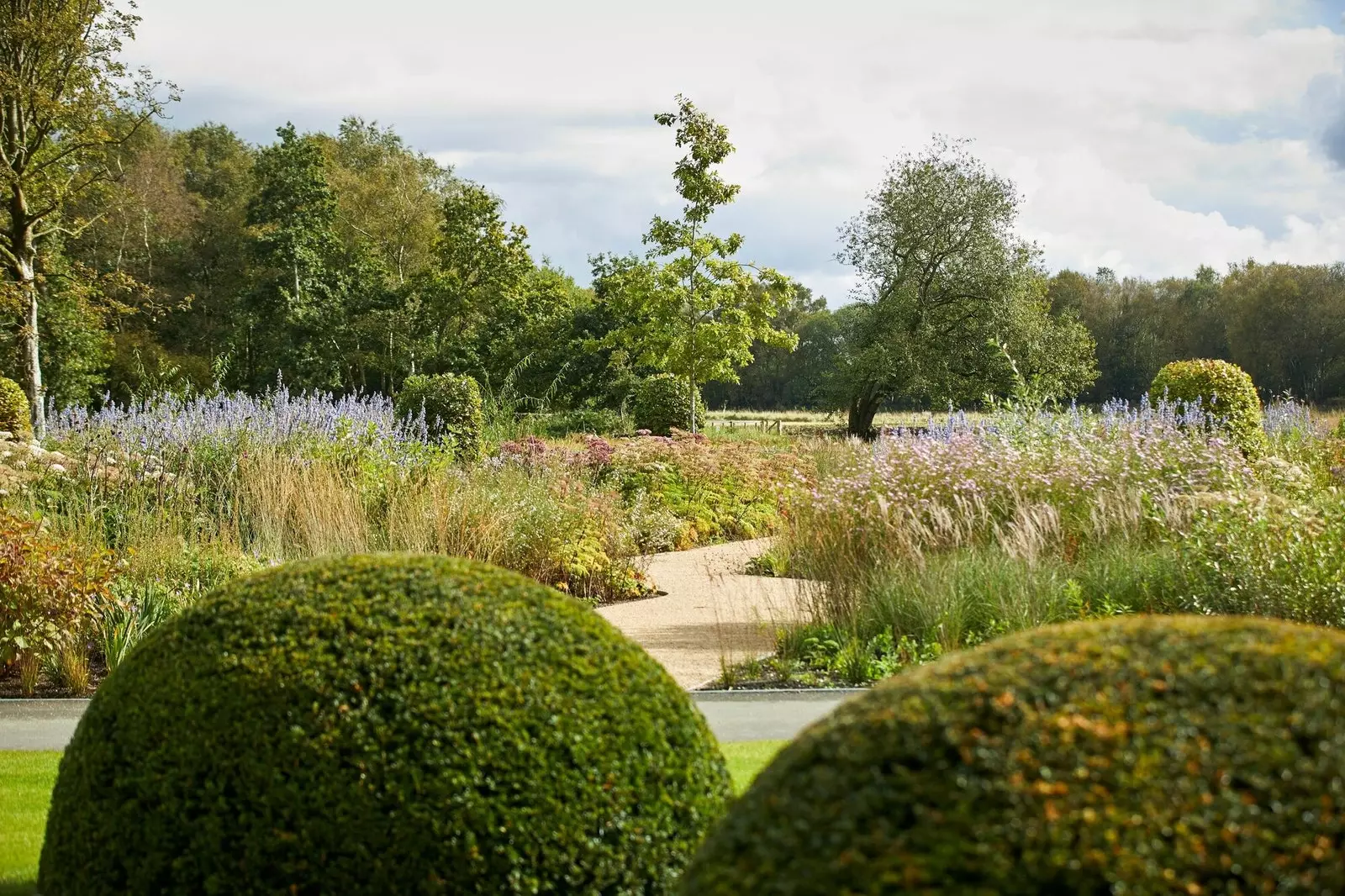 RHS Garden Bridgewater