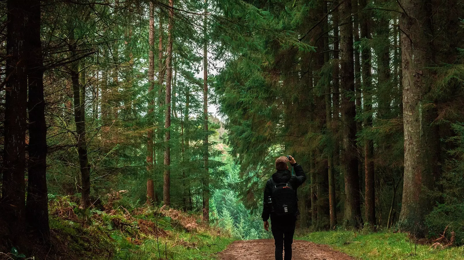 Mulher no meio da floresta caminhadas trekking