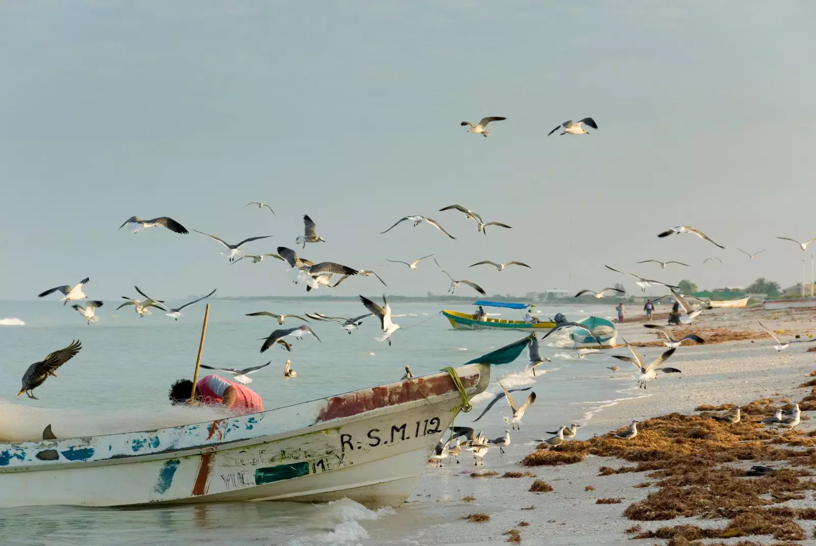 Fiskare i Celestun Yucatn