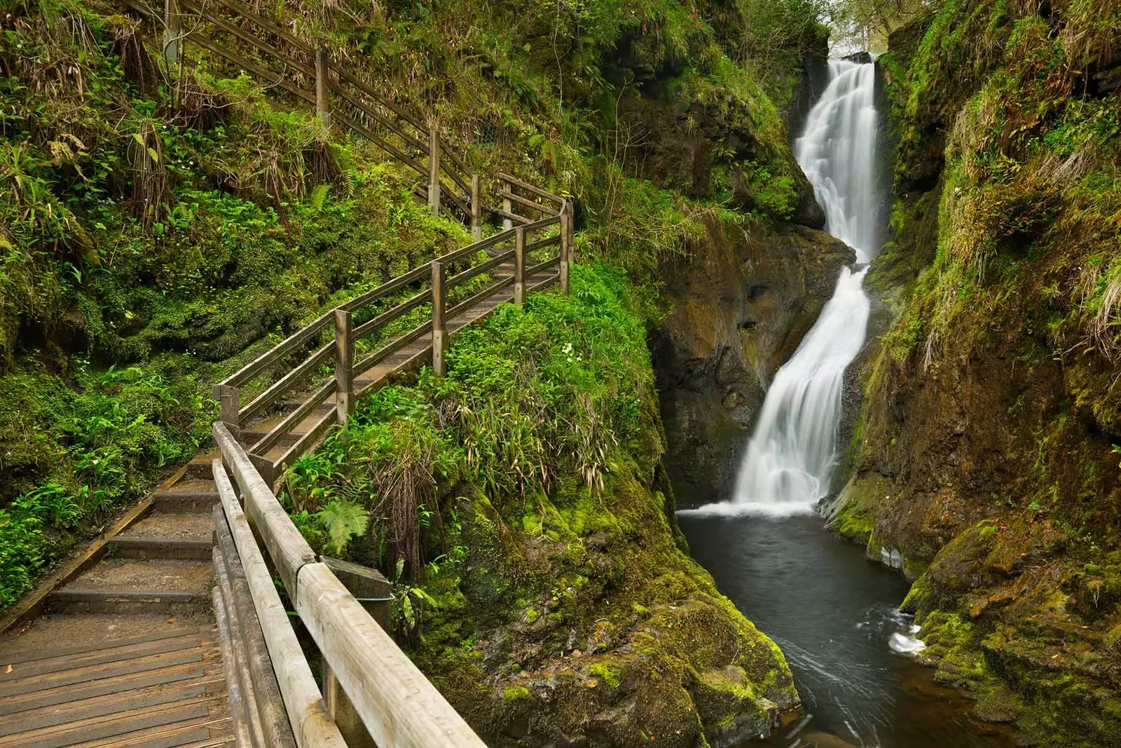 Dabiski ūdenskritumi Glenarifa nacionālajā parkā