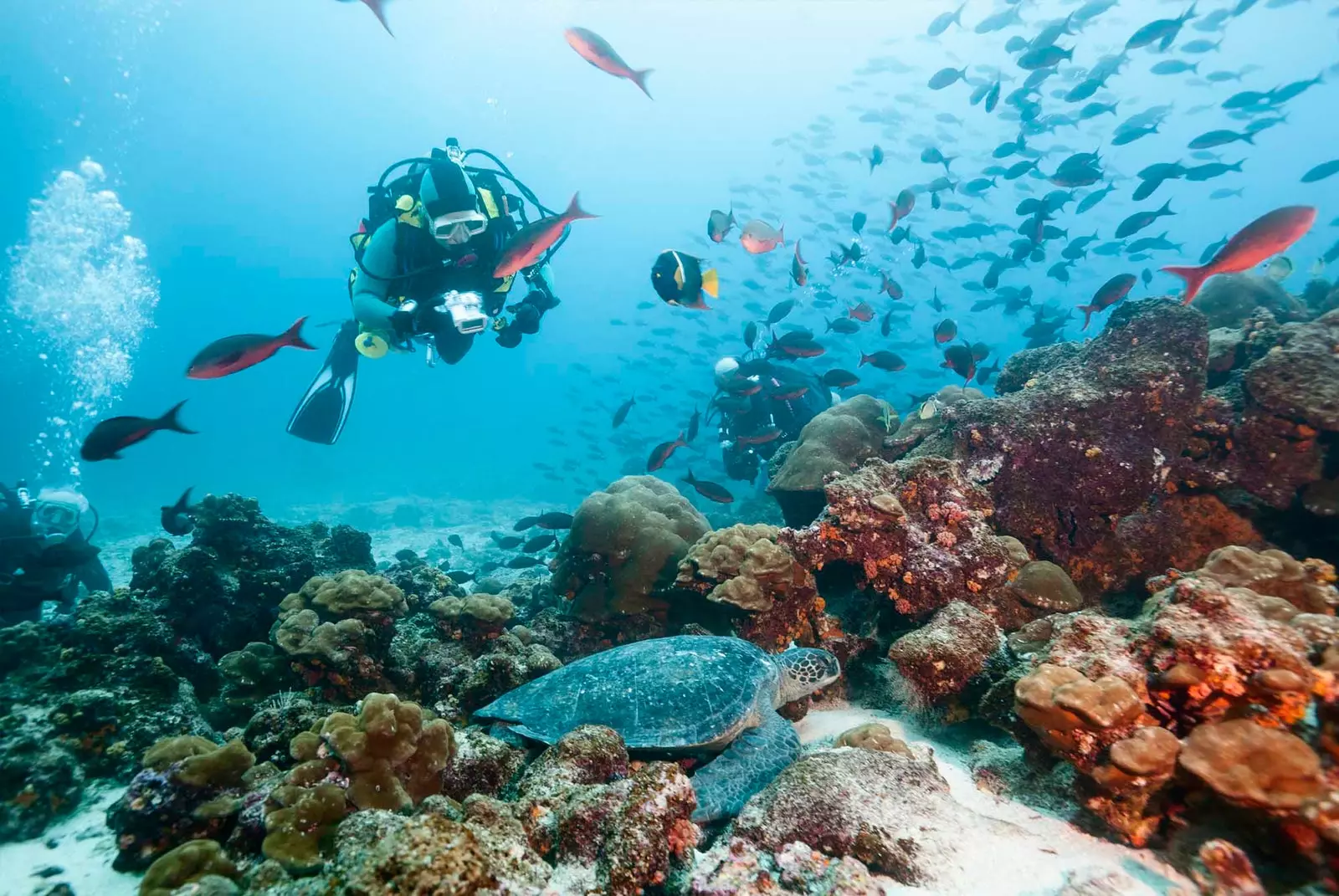 Les fonds marins des Galapgos