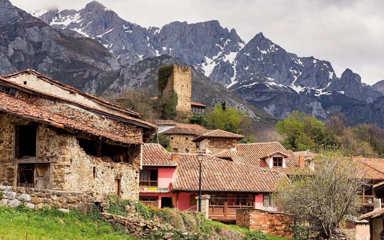 Mogrovejo Picos de Europa. Ліван Кантабрыя