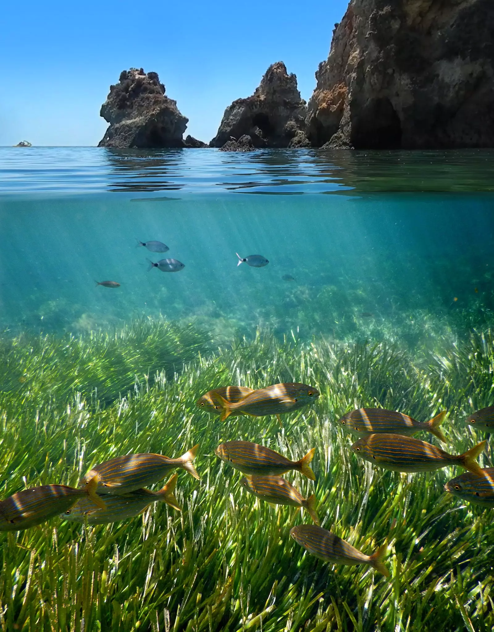 ביטשיז אין מורסיאַ ווייַטער פון די Mar Menor