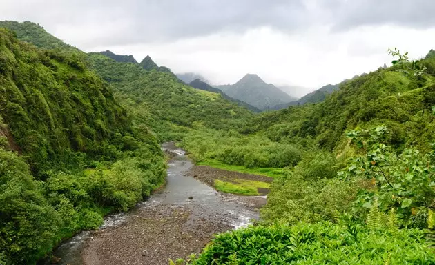 Папено хөндий