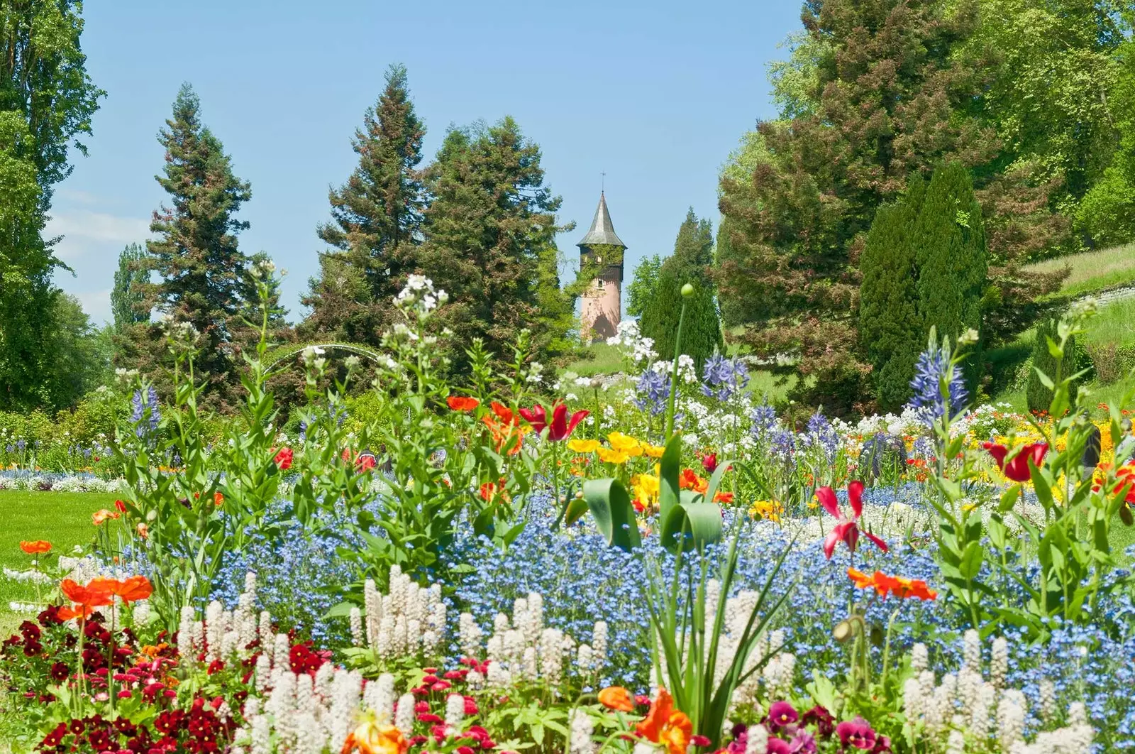 Mainau sala Vokietija