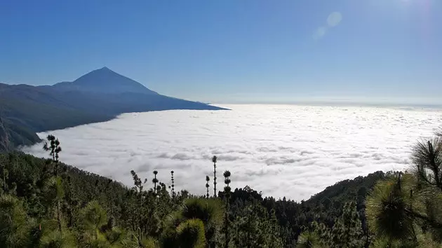 Teide hav av skyer