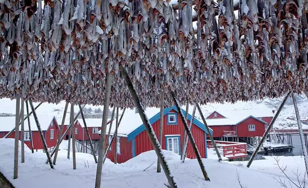 Вяление трески на воздухе от Moskenesøy