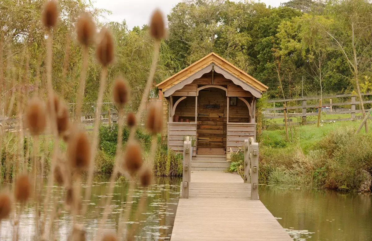 England du inte förväntar dig är i New Forest