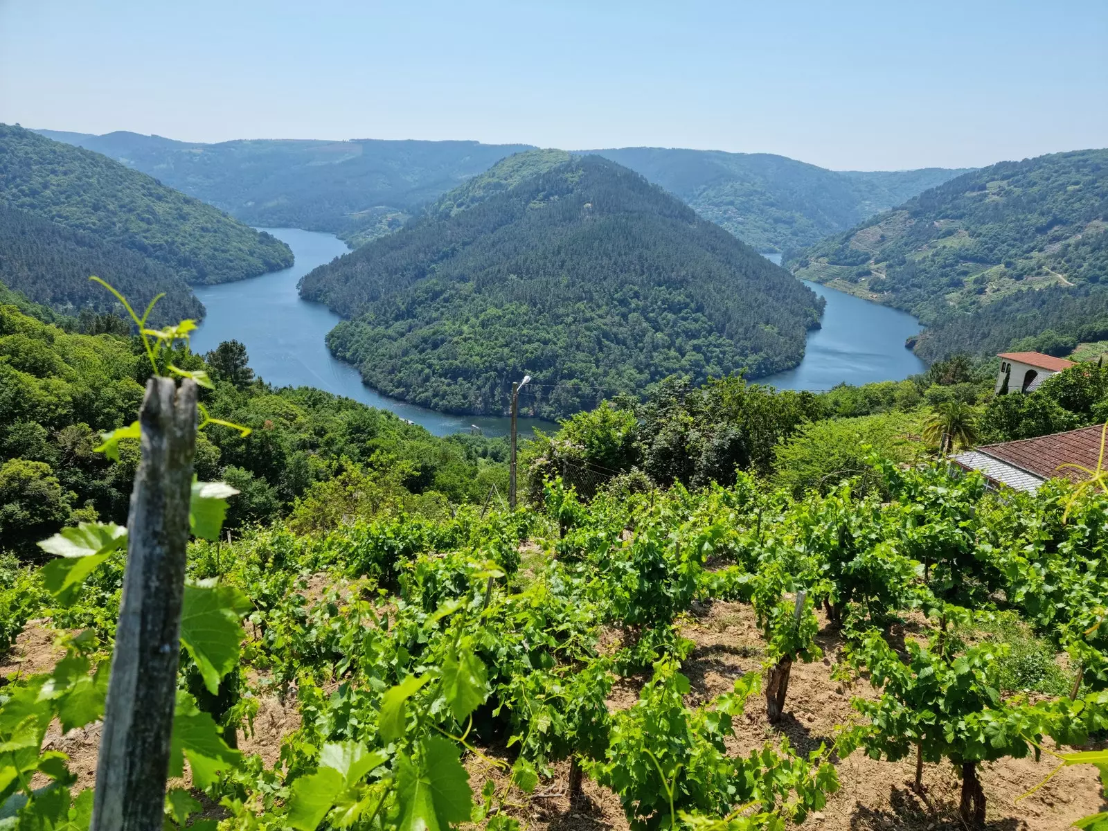 Ladang anggur Ribeira Sacra