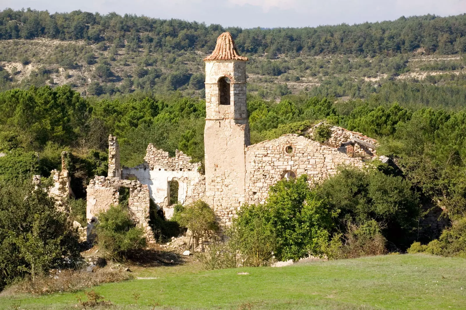 The Mussara in Tarragona.