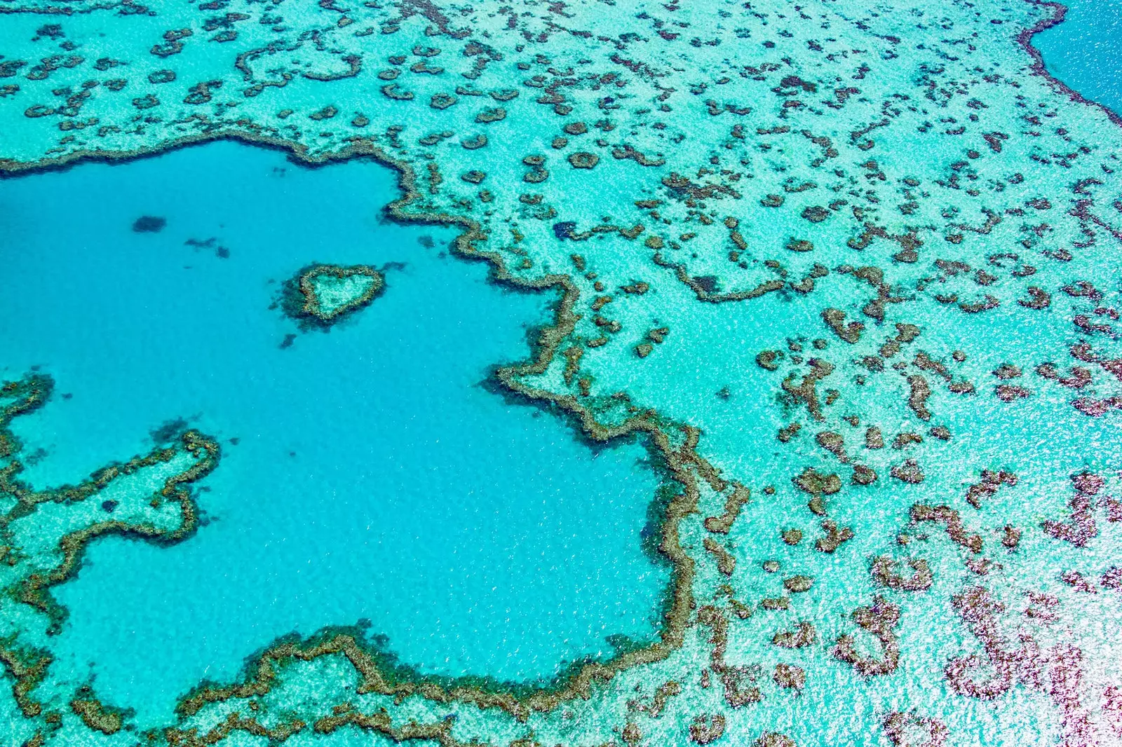 Great Barrier Reef Australia