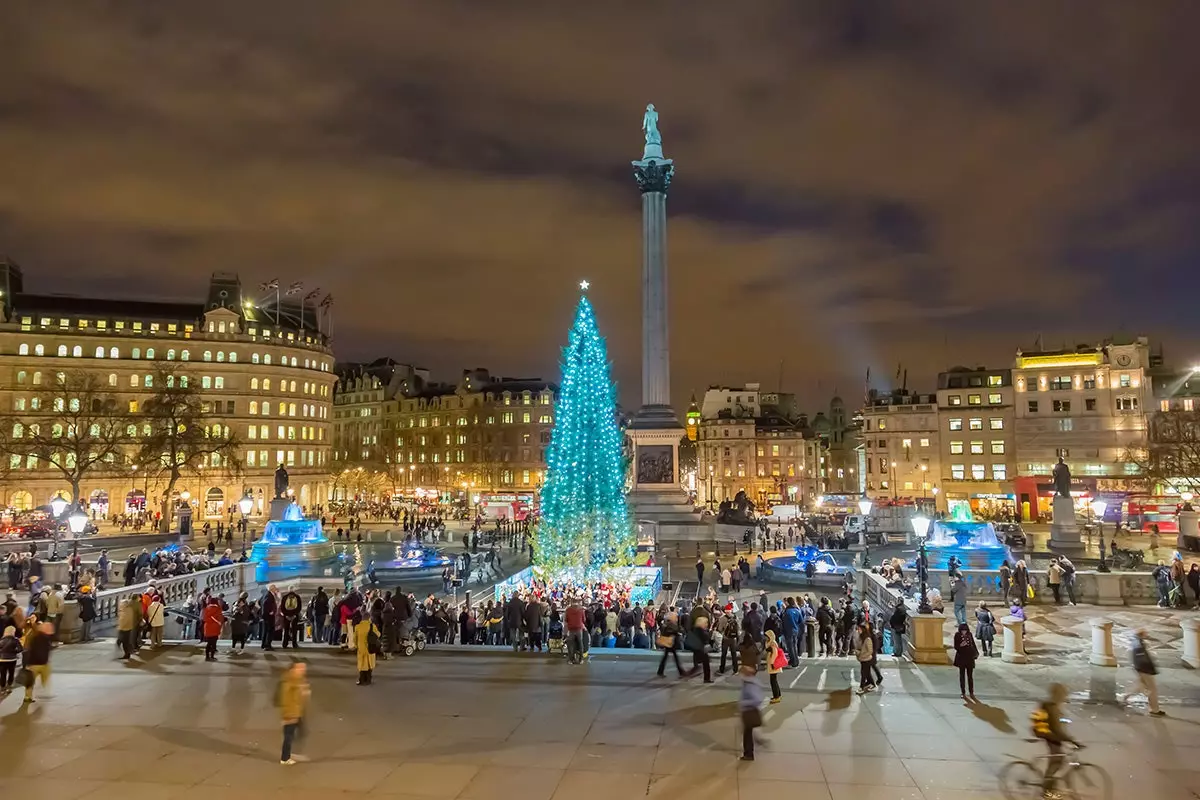 Obdivujte strom na Trafalgarském náměstí