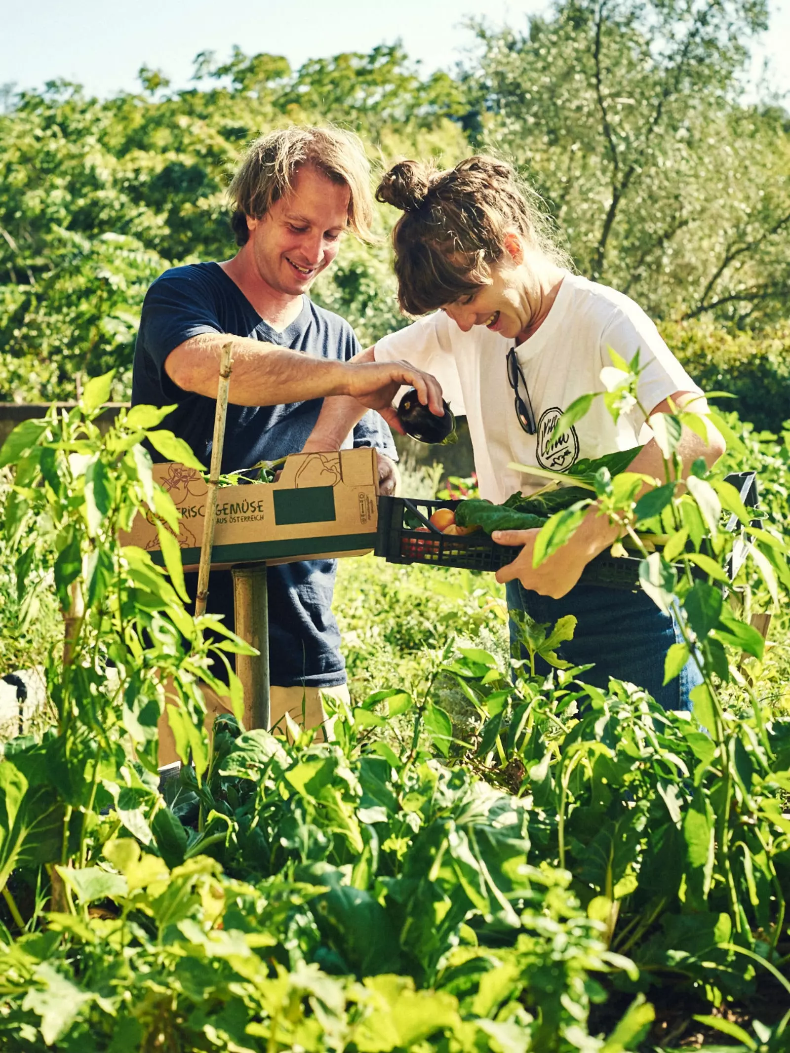 Vila venovaná agroturistike.