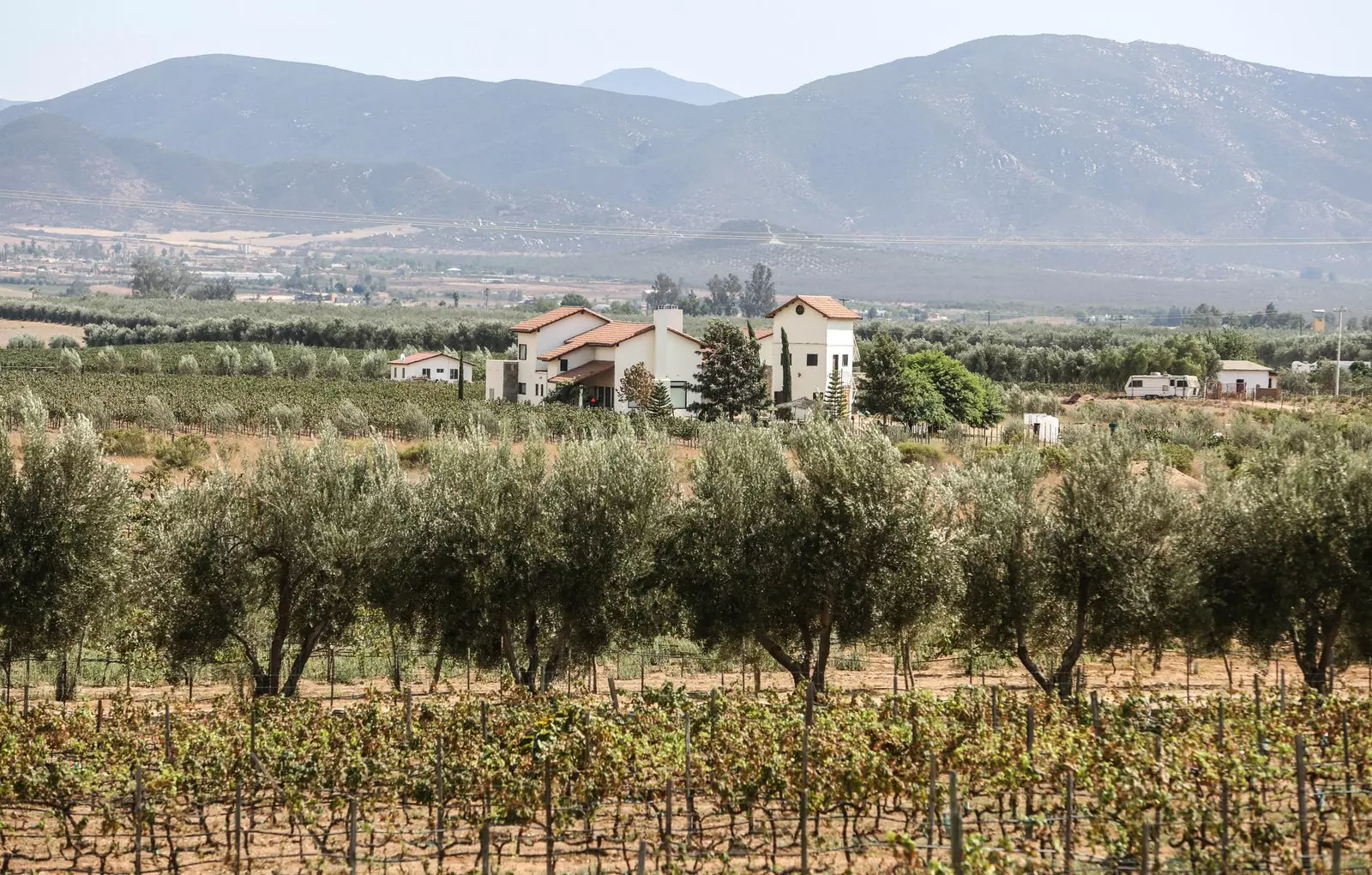 Valle de Guadalupe Baja California Mexico vasitəsilə şərab marşrutu.