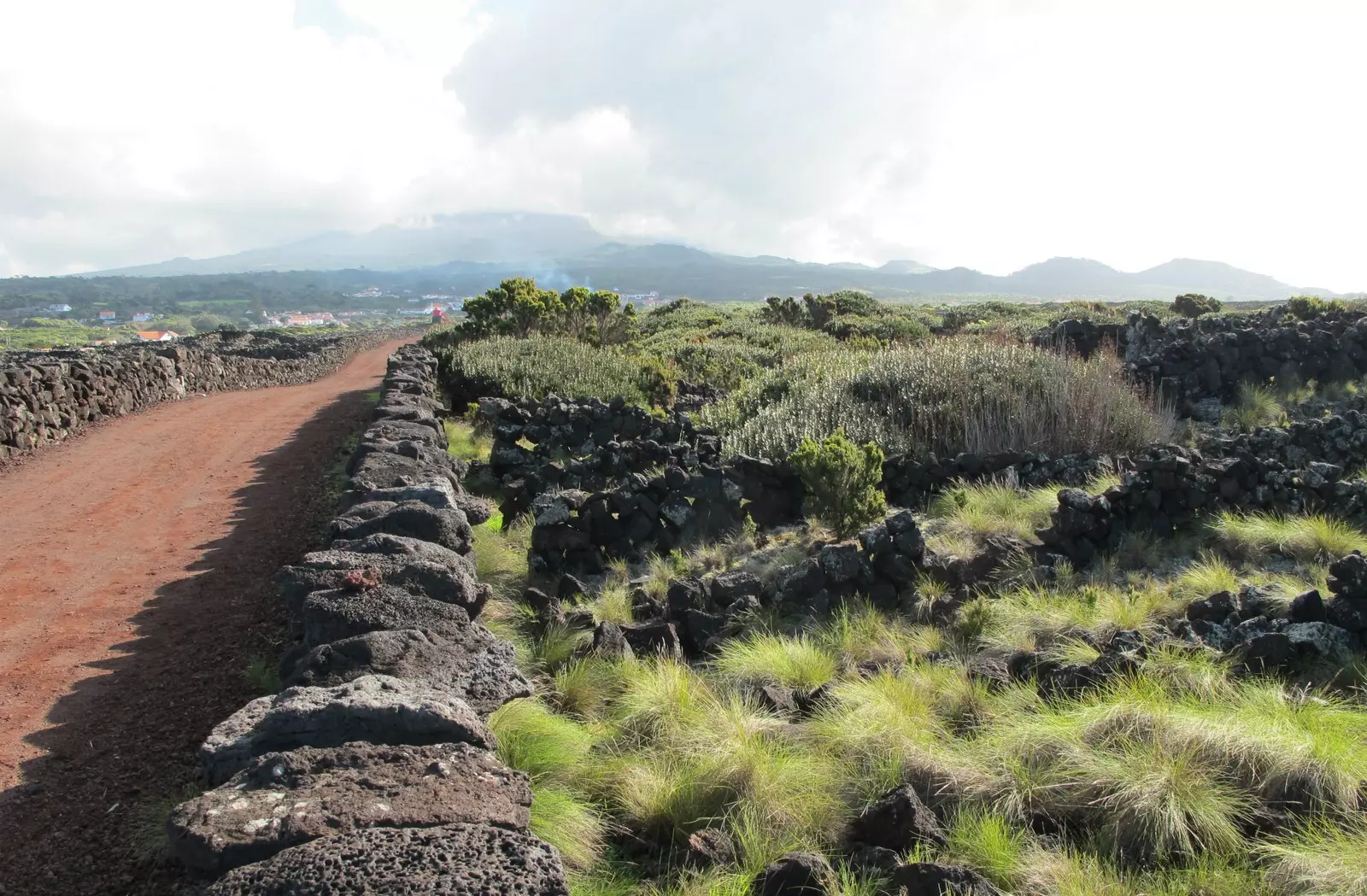 His studio is in São Mateus on Pico Island in the Azores.